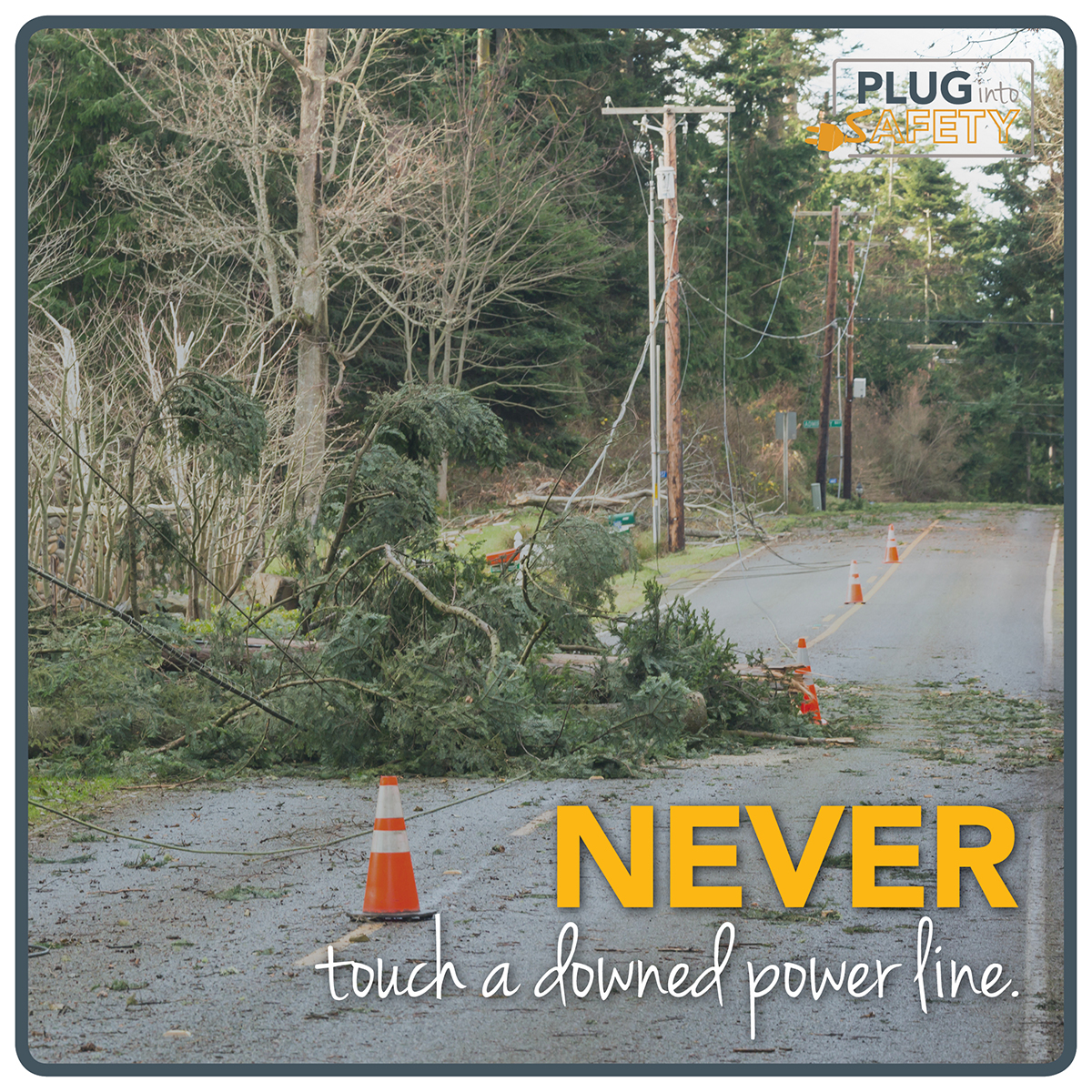 What To Do If You Drive Over A Downed Power Line at Jill Ford blog
