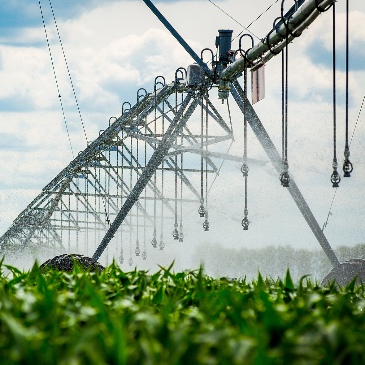 Irrigation Safety: Water and Electricity Working Together - Indiana ...