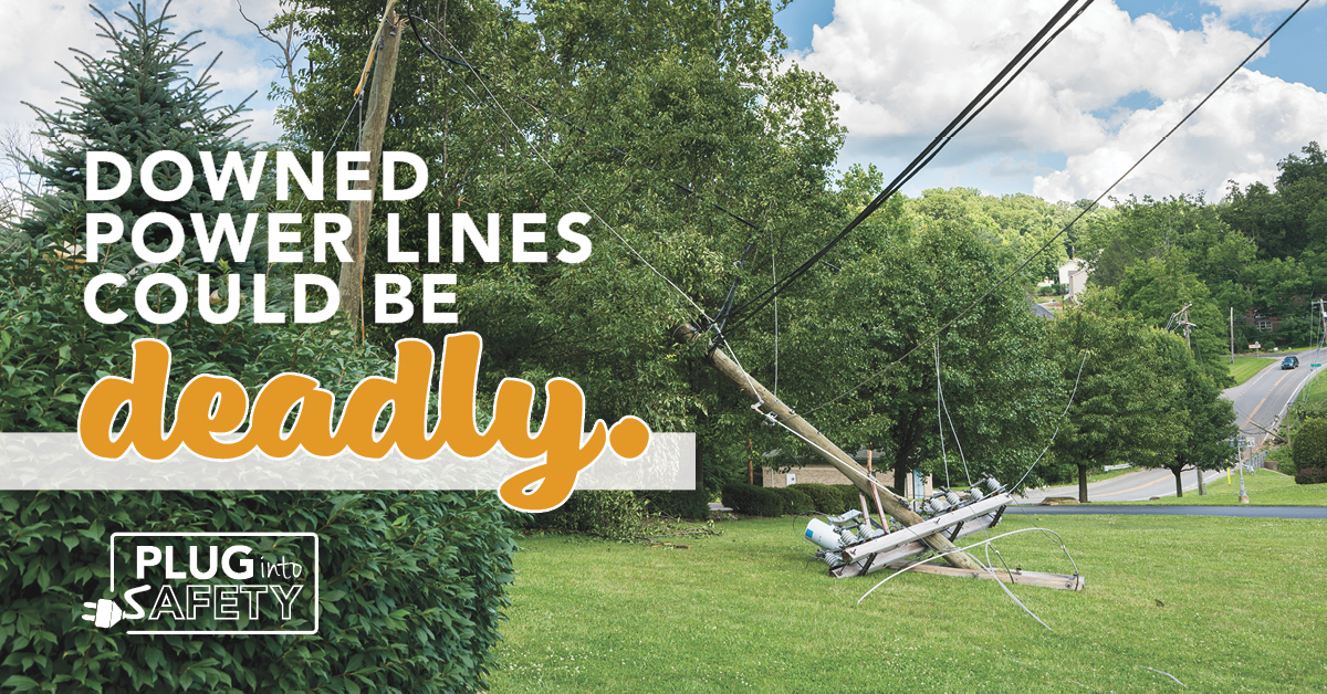 Avoid downed power lines! - Indiana Electric Cooperatives