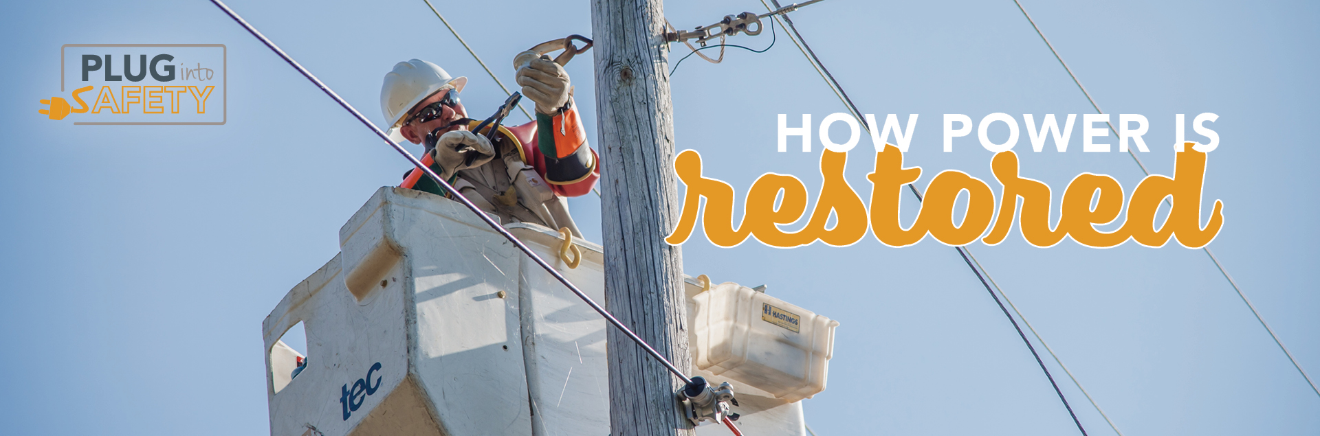 Home - Indiana Electric Cooperatives